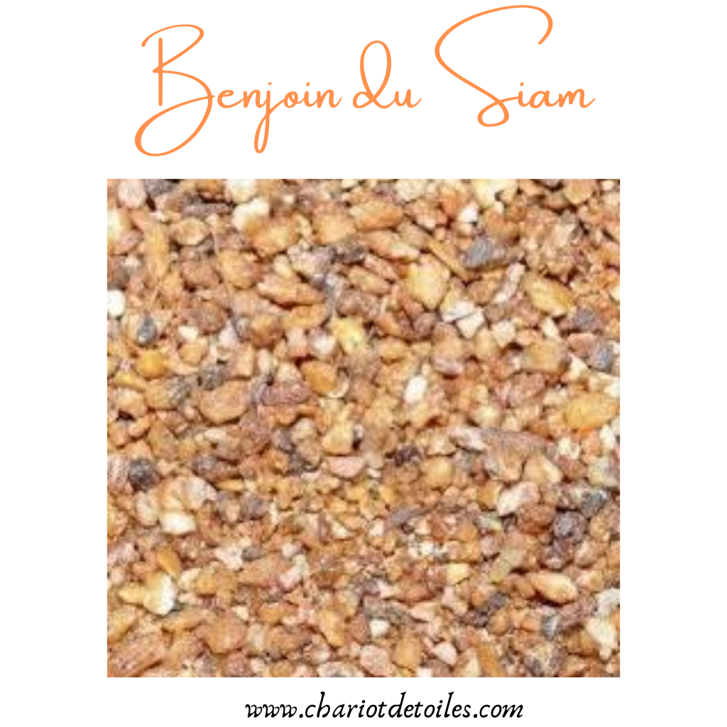 Benjoin de Siam – Chariot d'étoiles